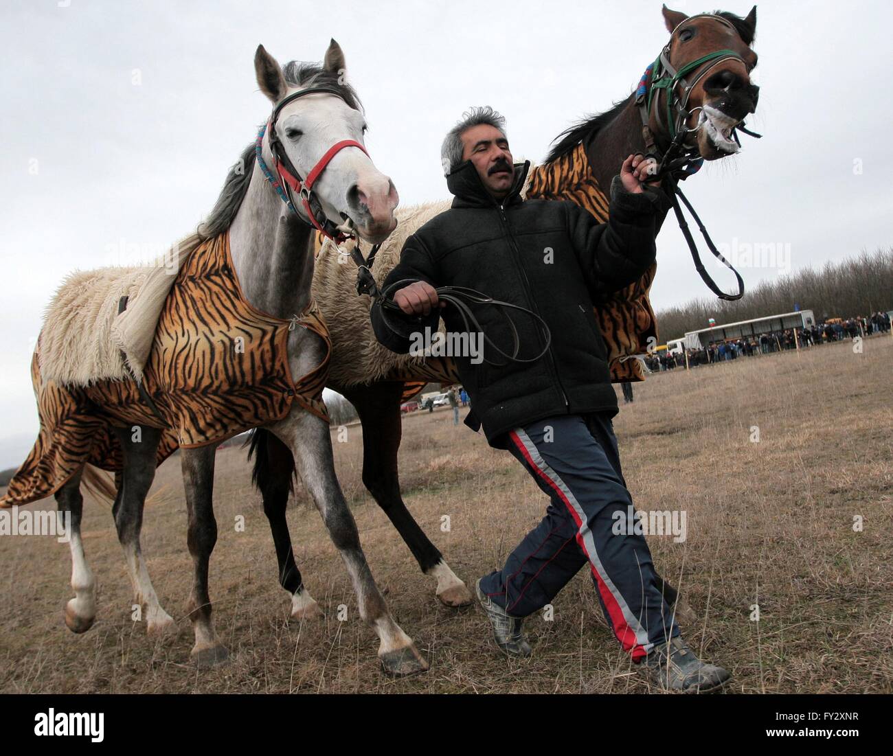 Bulgarians ride their horses during a race as celebration of Todorov ...