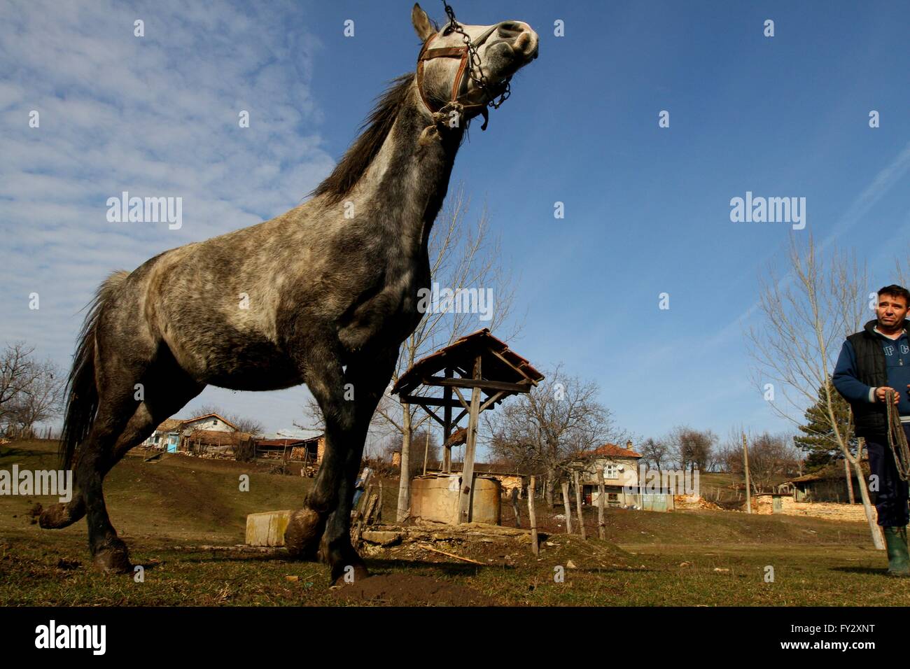 Bulgarians ride their horses during a race as celebration of Todorov ...