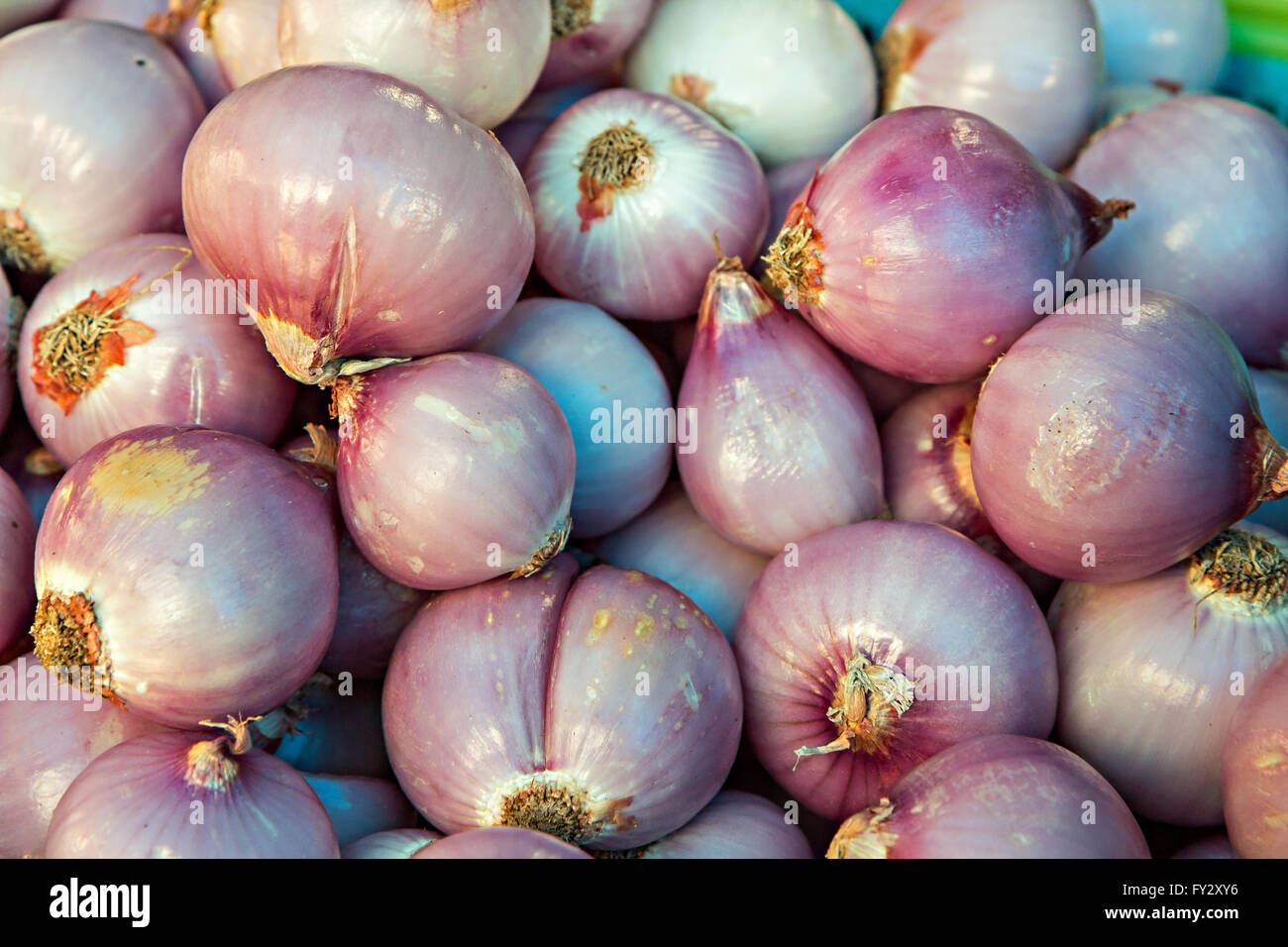 peeled red onions Stock Photo - Alamy