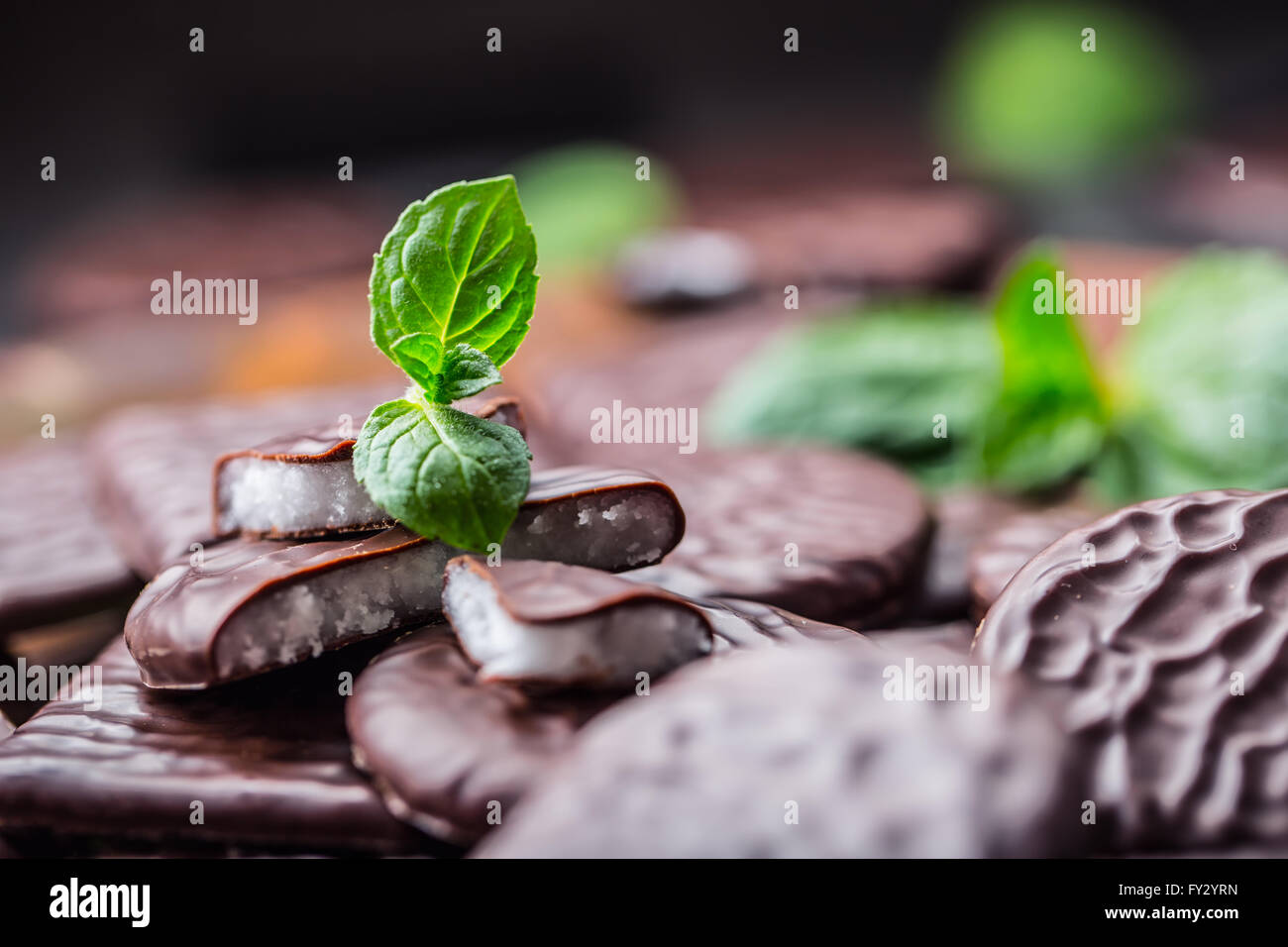 Chocolate peppermint cookies.Mint. Peppermint. Menthol. Black chocolate ...