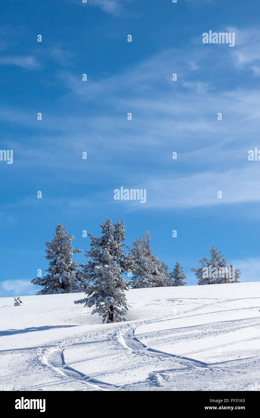 Empty snow land hi-res stock photography and images - Alamy