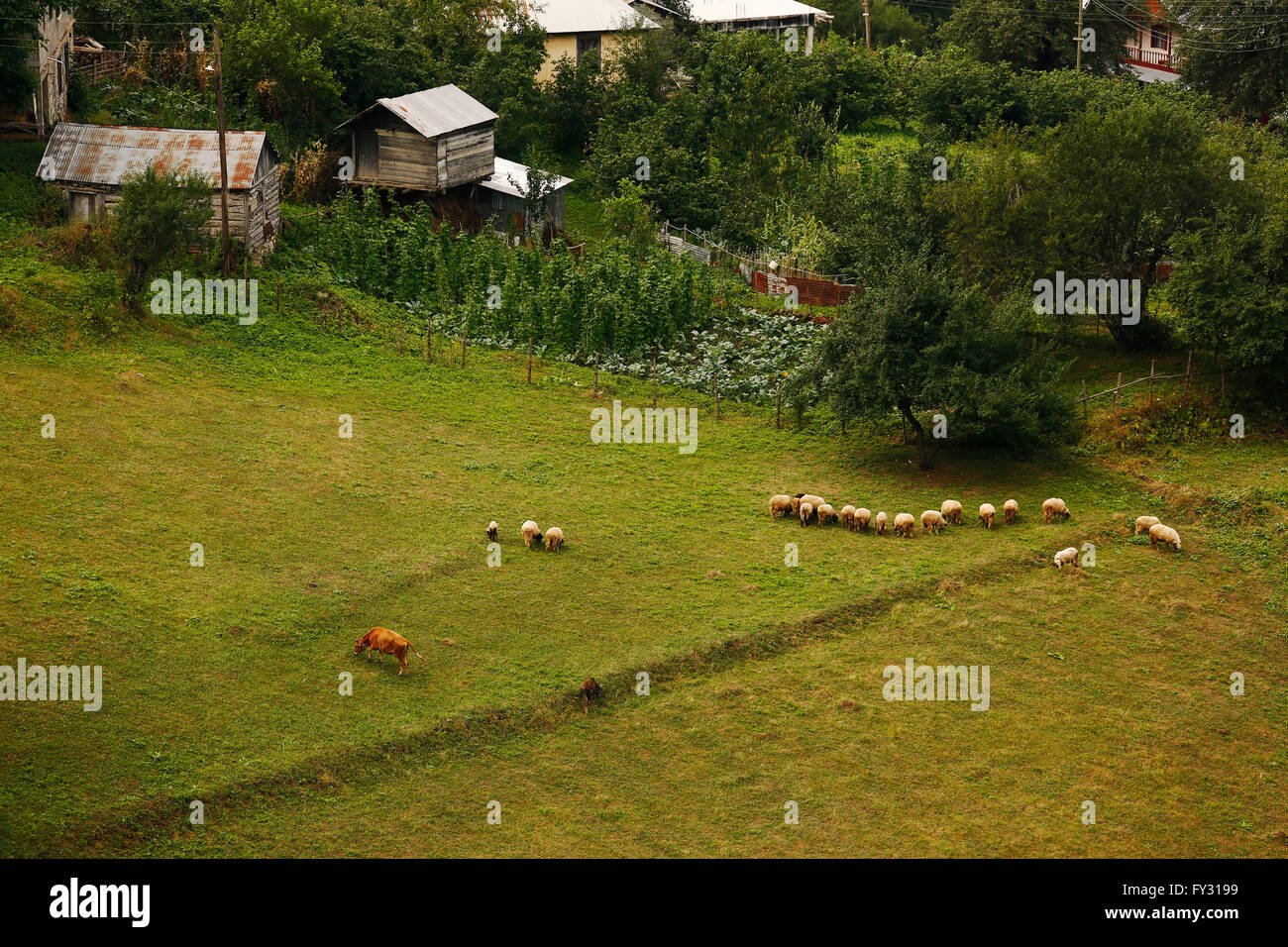 Rural areas hi-res stock photography and images - Alamy