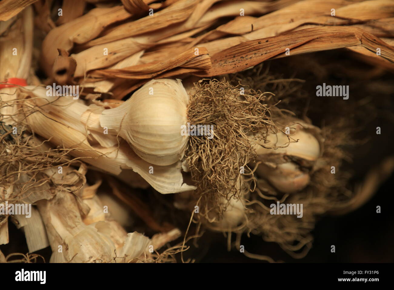 Of dried garlic hi-res stock photography and images - Alamy
