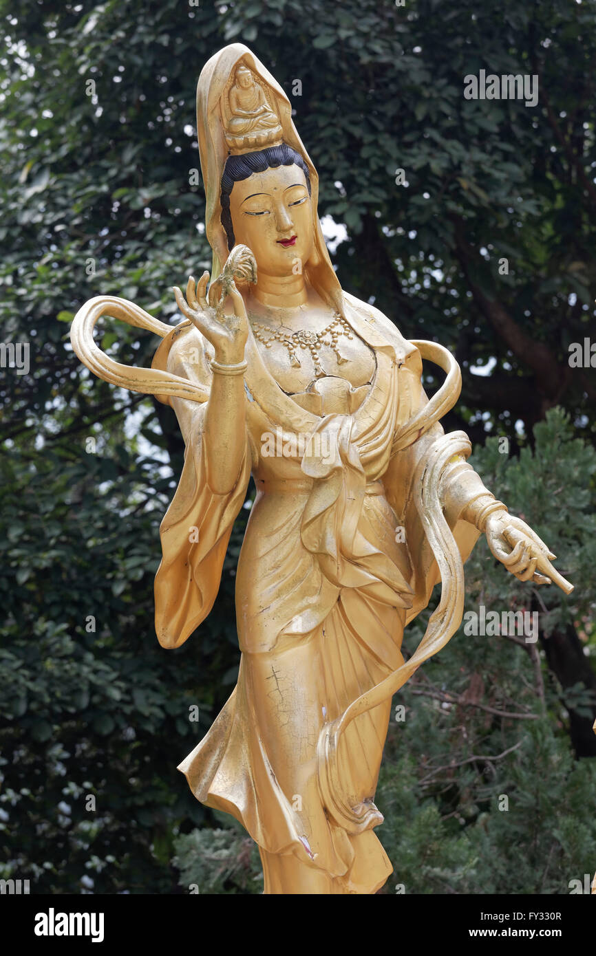 Female bodhisattva hi-res stock photography and images - Alamy