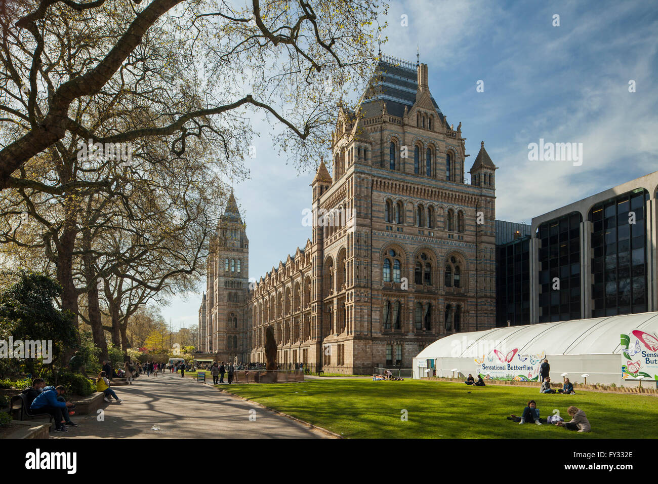 Natural History Museum in London, England Stock Photo - Alamy