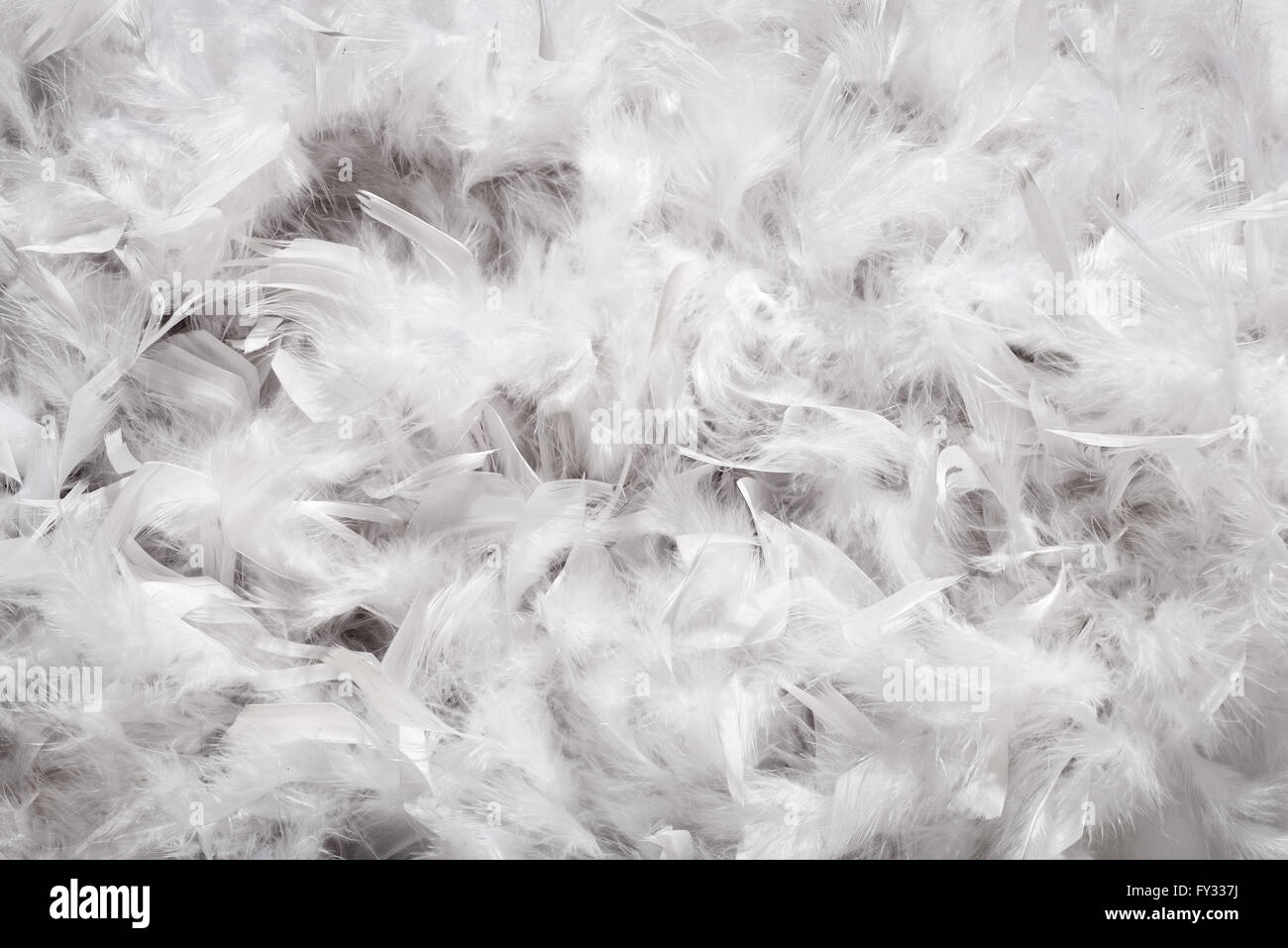 Background texture of a thick layer of soft white down feathers ...