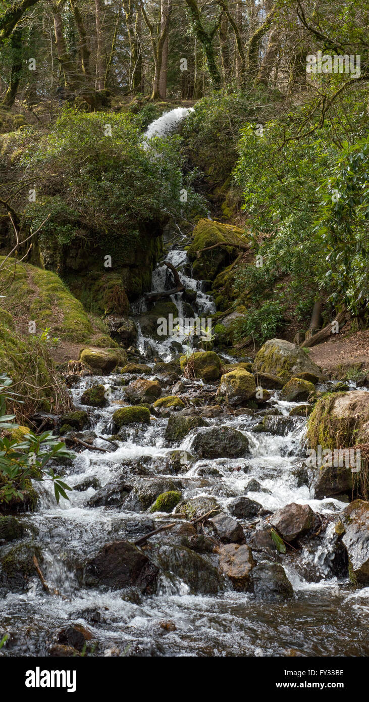 Cornwall Devon Landscape High Resolution Stock Photography and Images ...