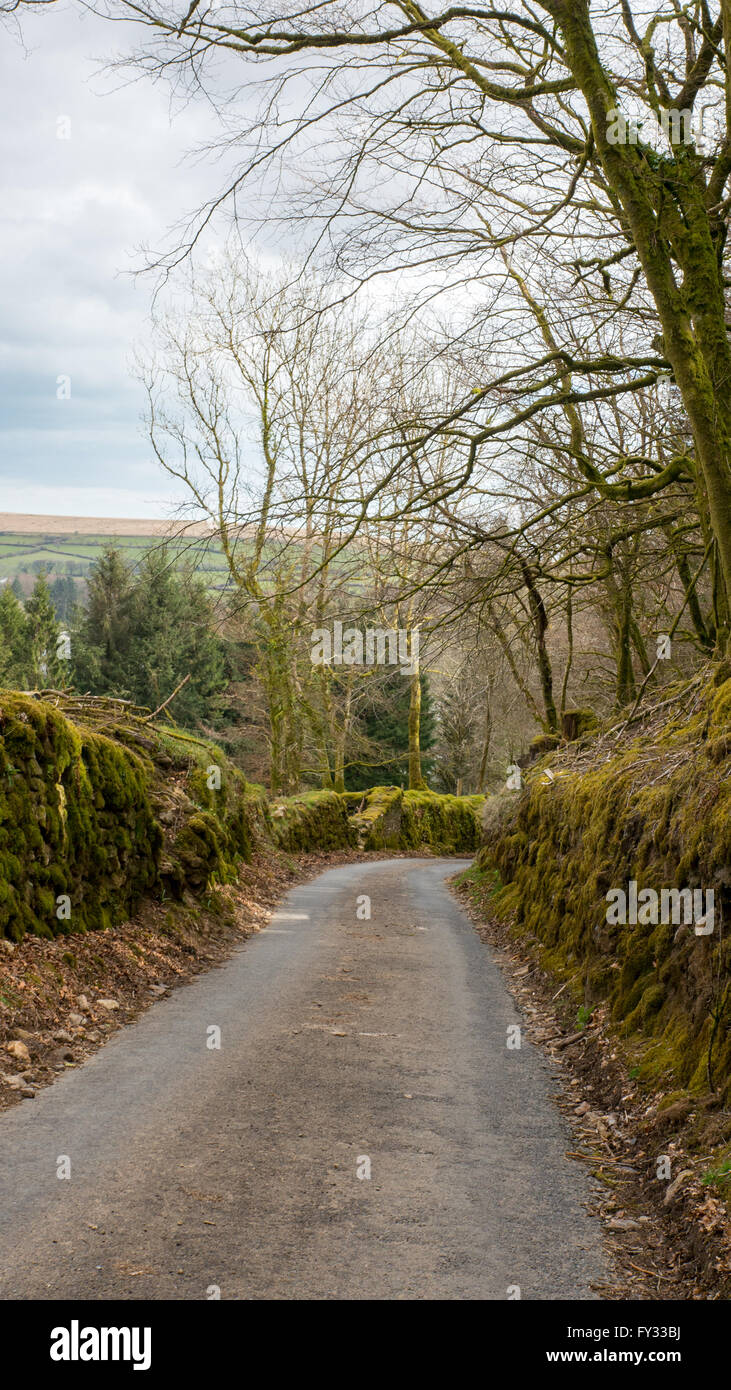 A wild windy road in England Stock Photo - Alamy