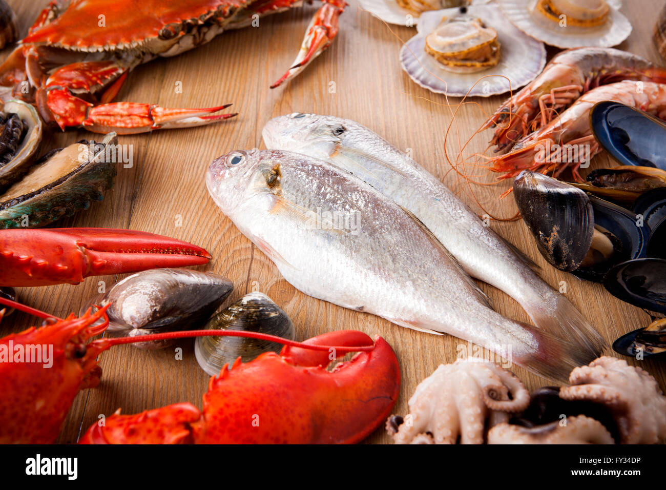 Octopus ocellatus hi-res stock photography and images - Alamy