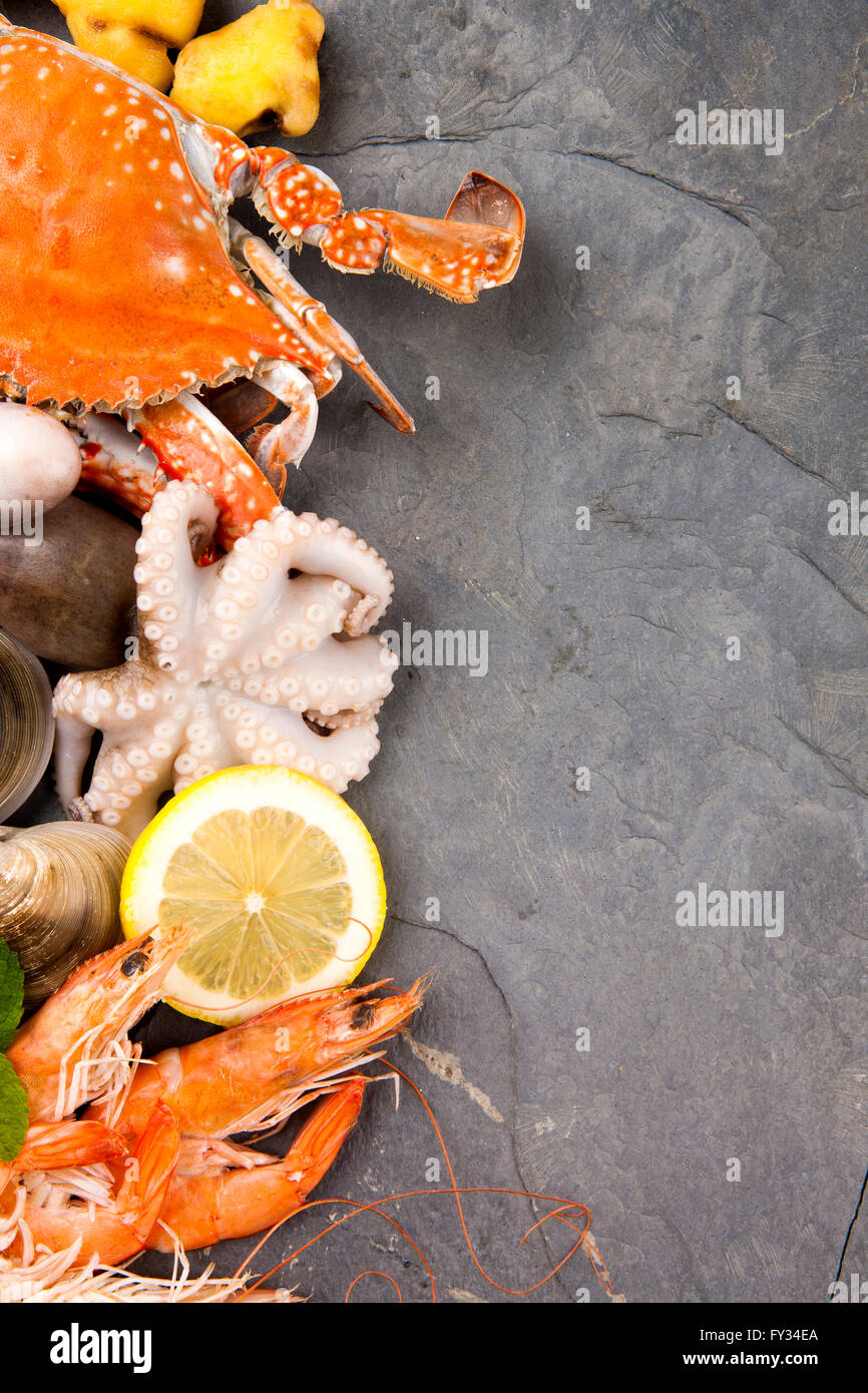 Octopus Ocellatus High Resolution Stock Photography and Images - Alamy