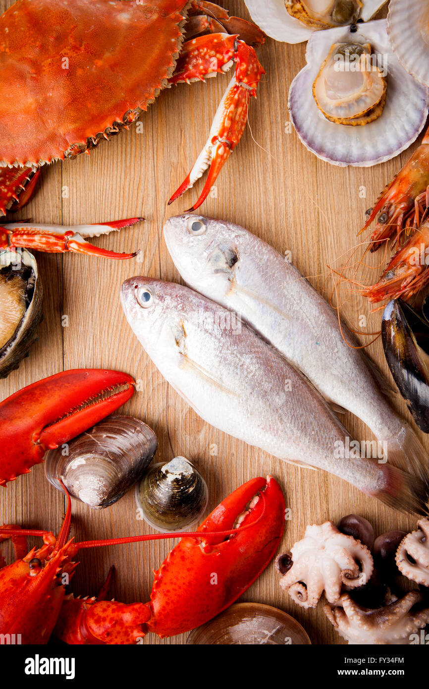 Octopus Ocellatus High Resolution Stock Photography and Images - Alamy