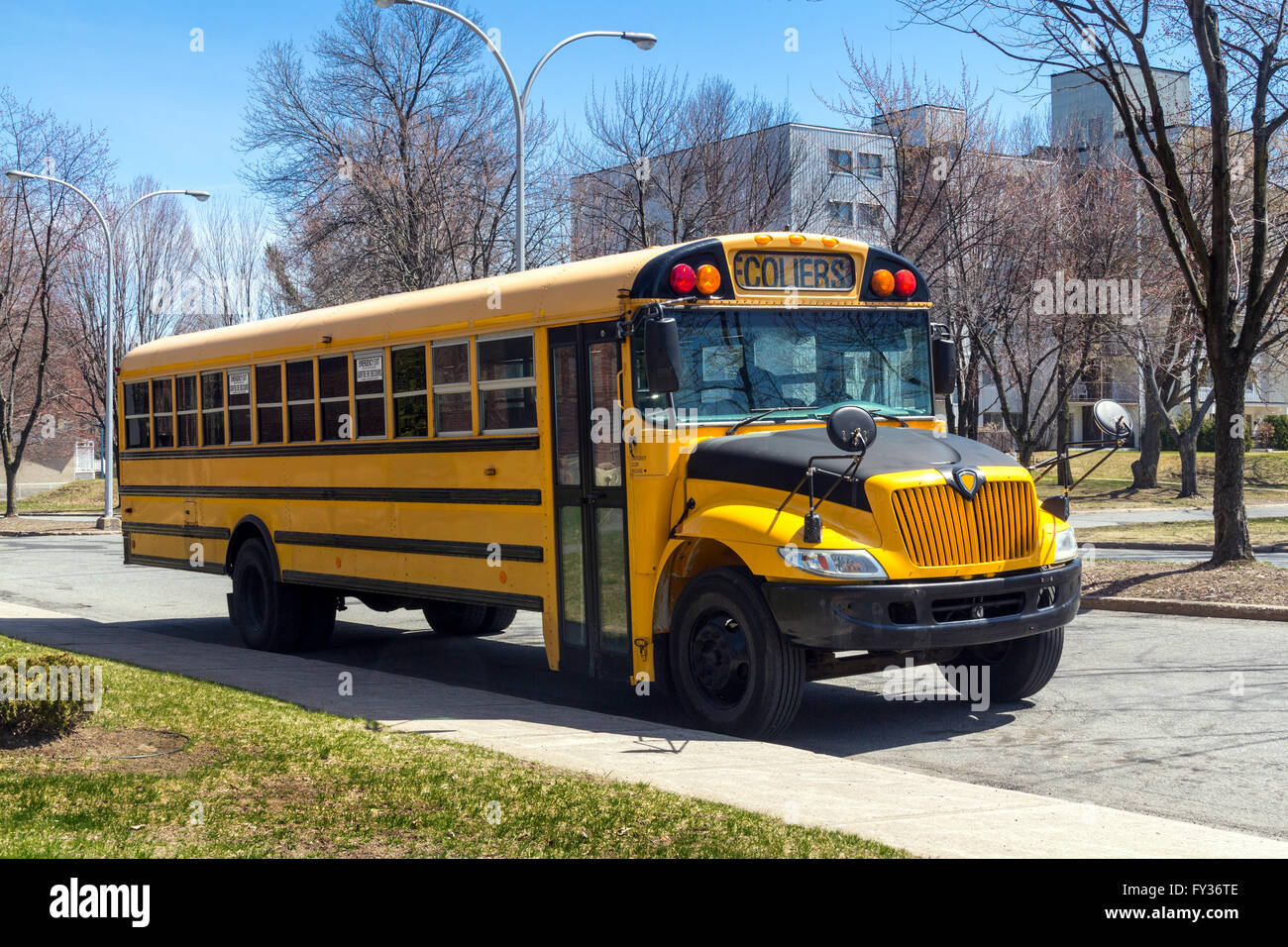 School bus quebec hi-res stock photography and images - Alamy