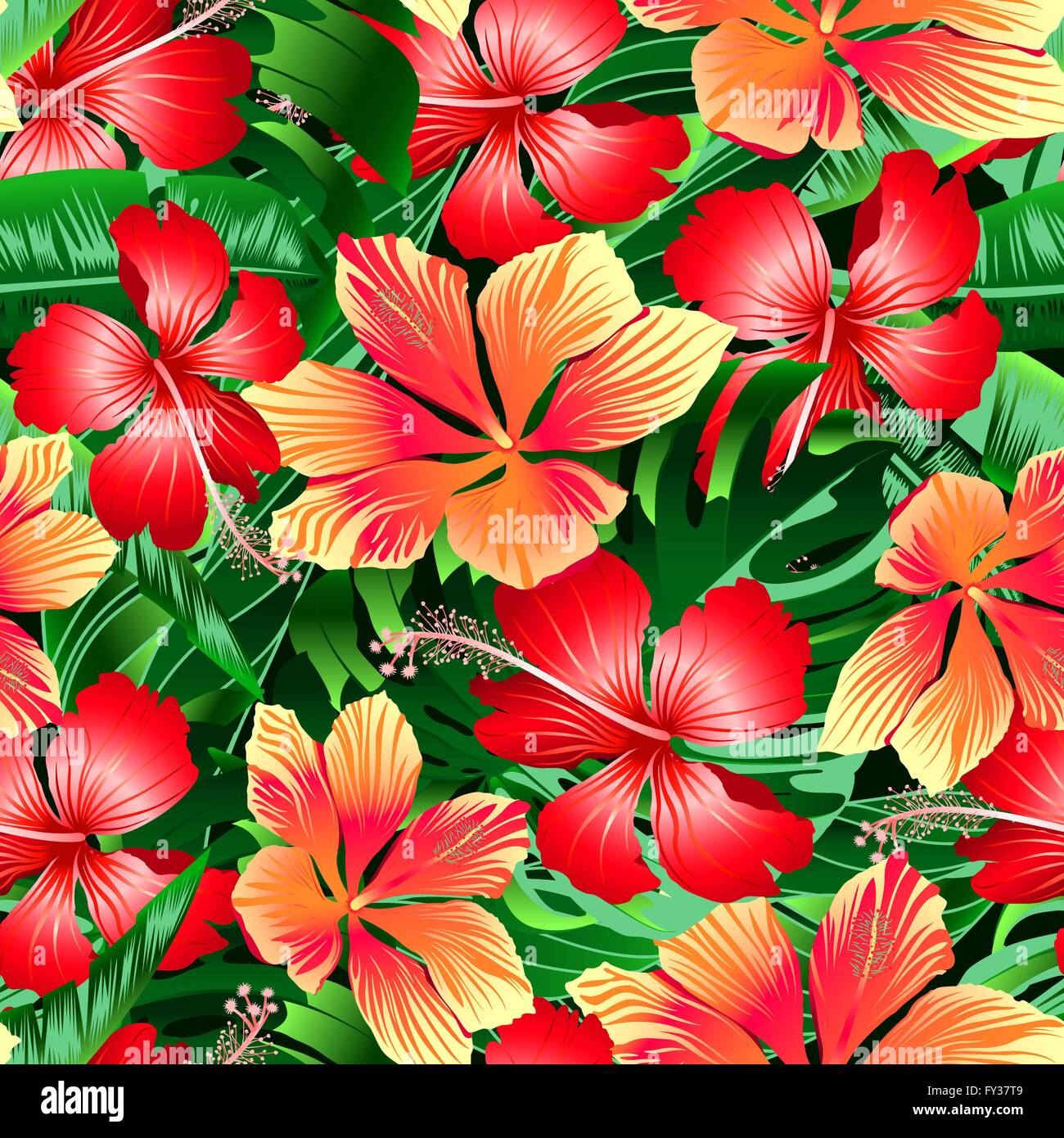 Seeds & Seed Bombs Home & Living Orange-Scarlet Tropical look 100 ...