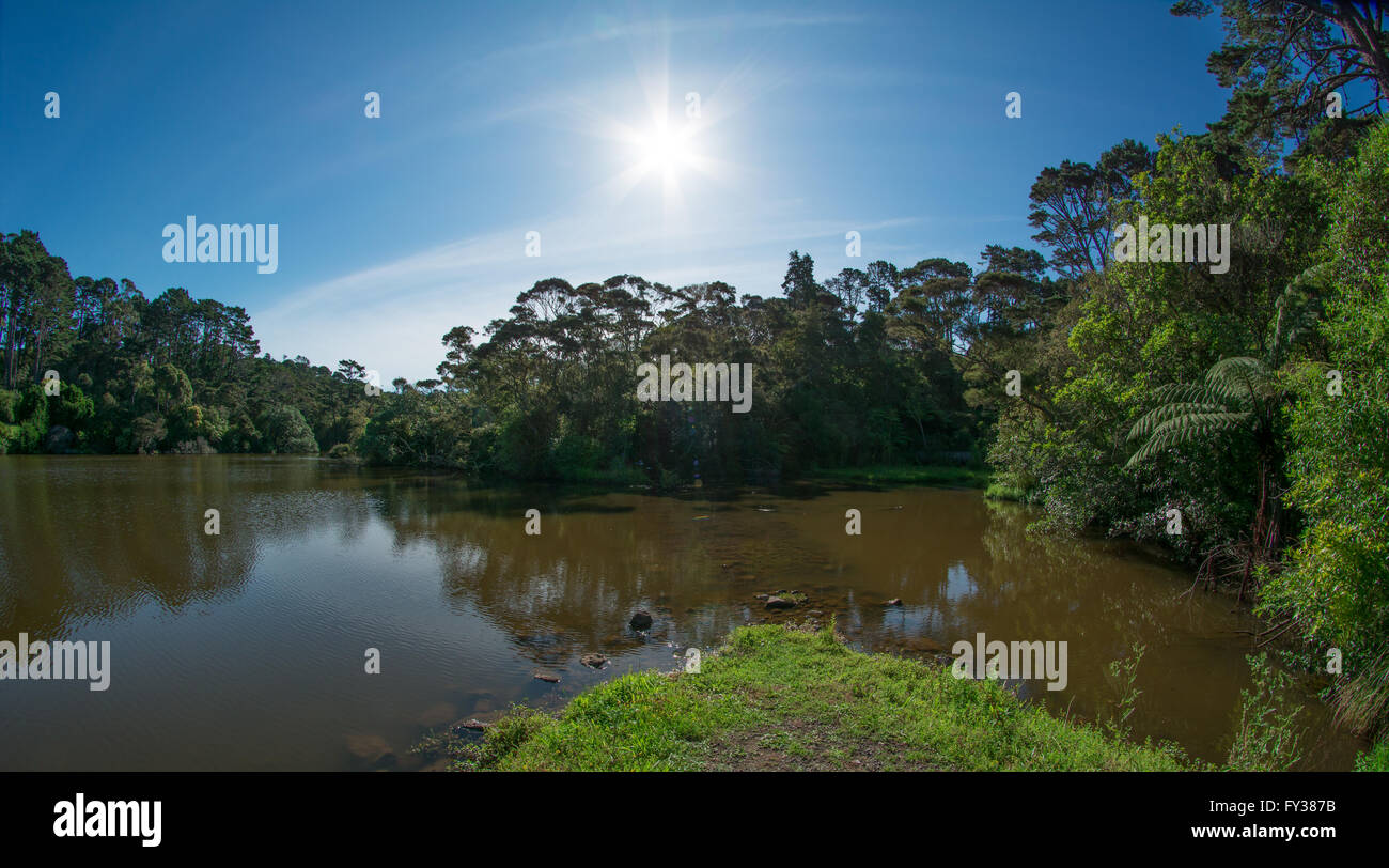 Newzealand hi-res stock photography and images - Alamy