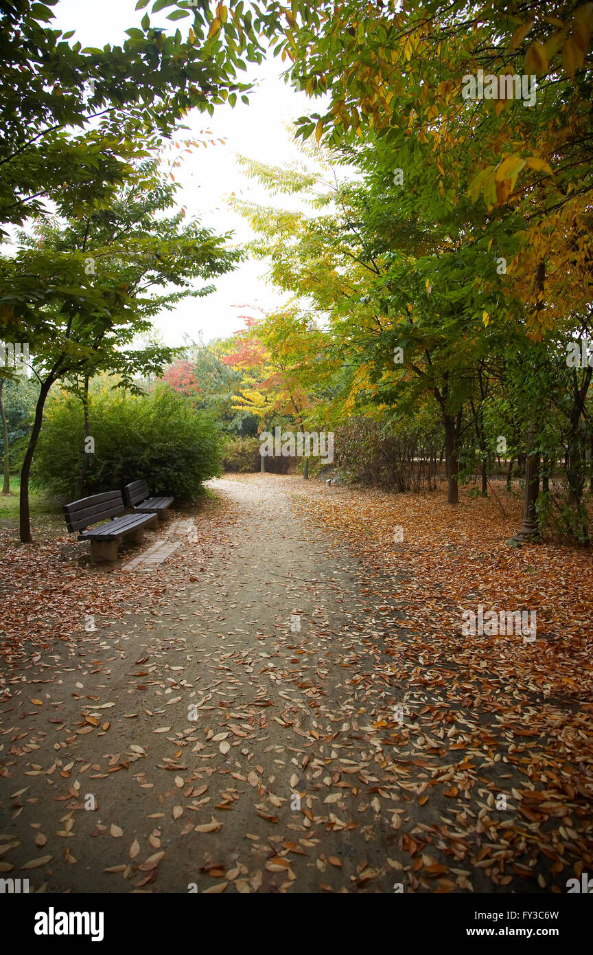 Reed Marsh Park Stock Photo - Alamy