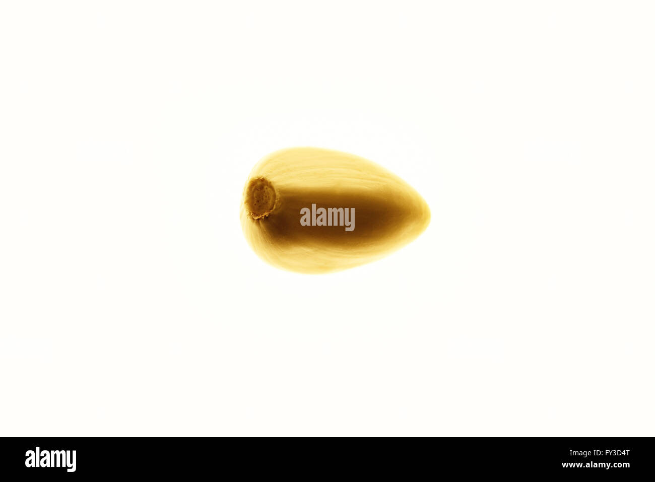 extracted single garlic on white background Stock Photo - Alamy