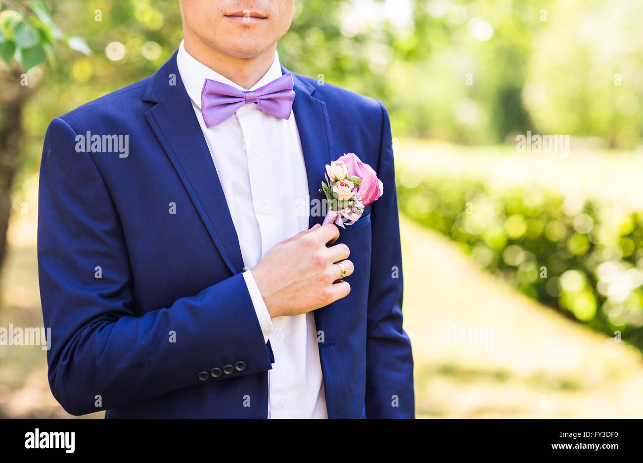 groom in the wedding suit Stock Photo - Alamy