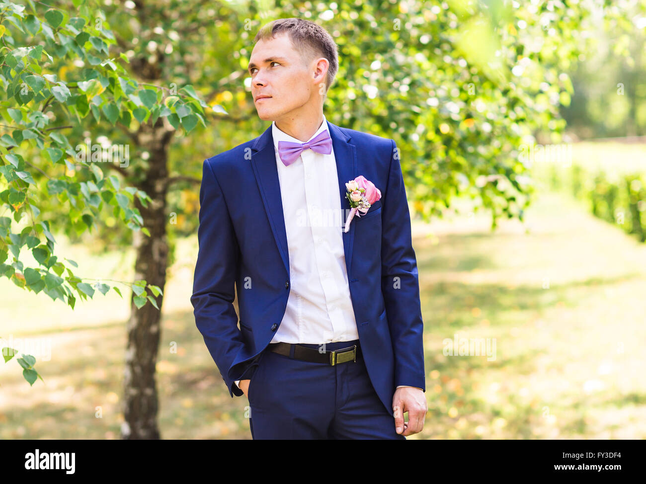 Handsome groom at wedding tuxedo Stock Photo - Alamy