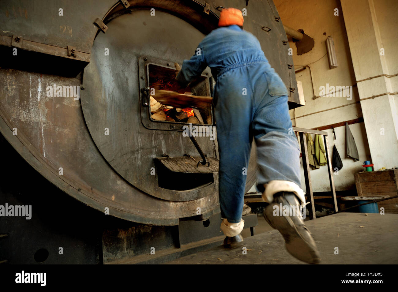 Man operating on a wood-fired steam boiler in a tea factory of Thyolo ...