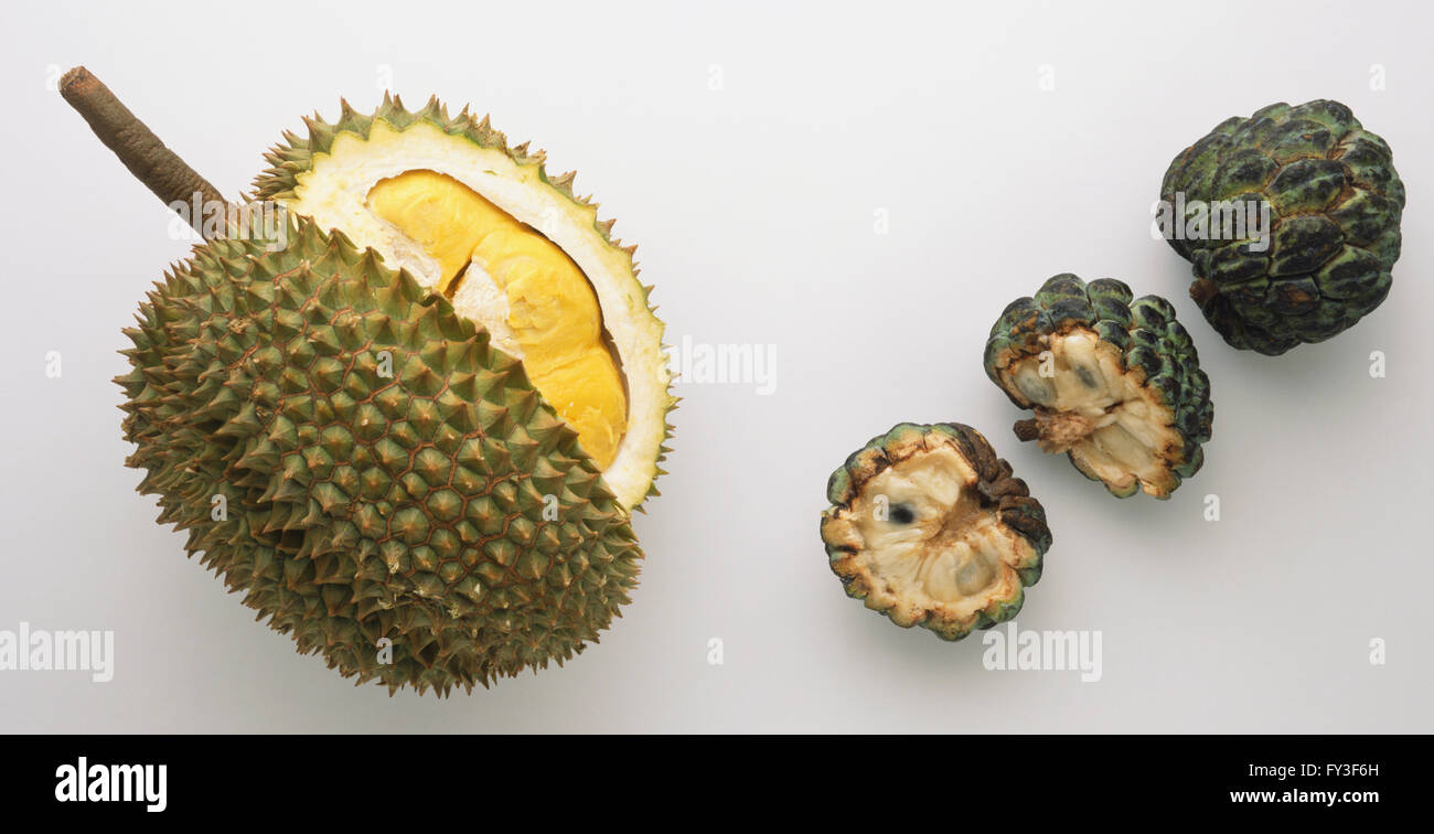 Cross Section The Fruit The Durian High Resolution Stock Photography ...