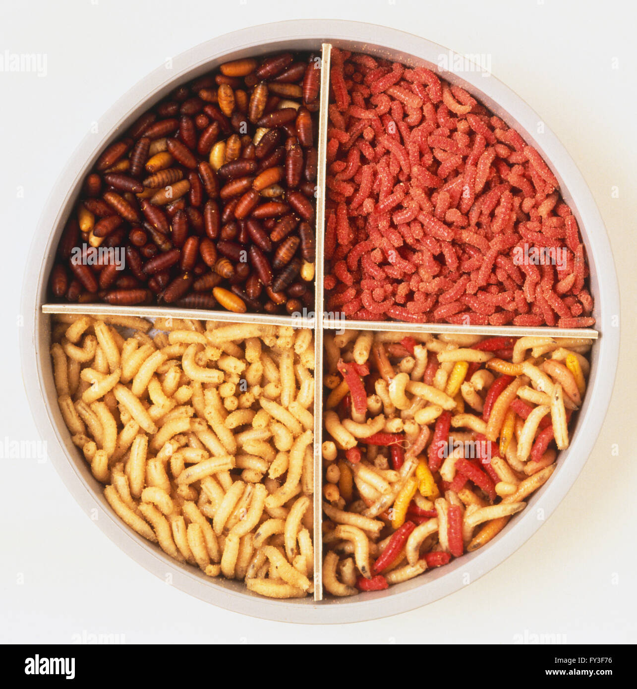 Round bowl divided into four compartments, containing different types ...