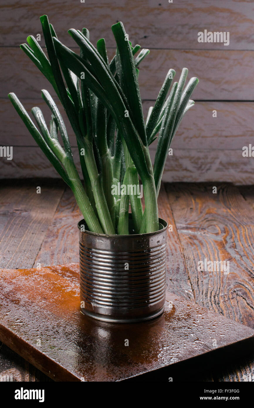 Green Onions in a can Stock Photo - Alamy