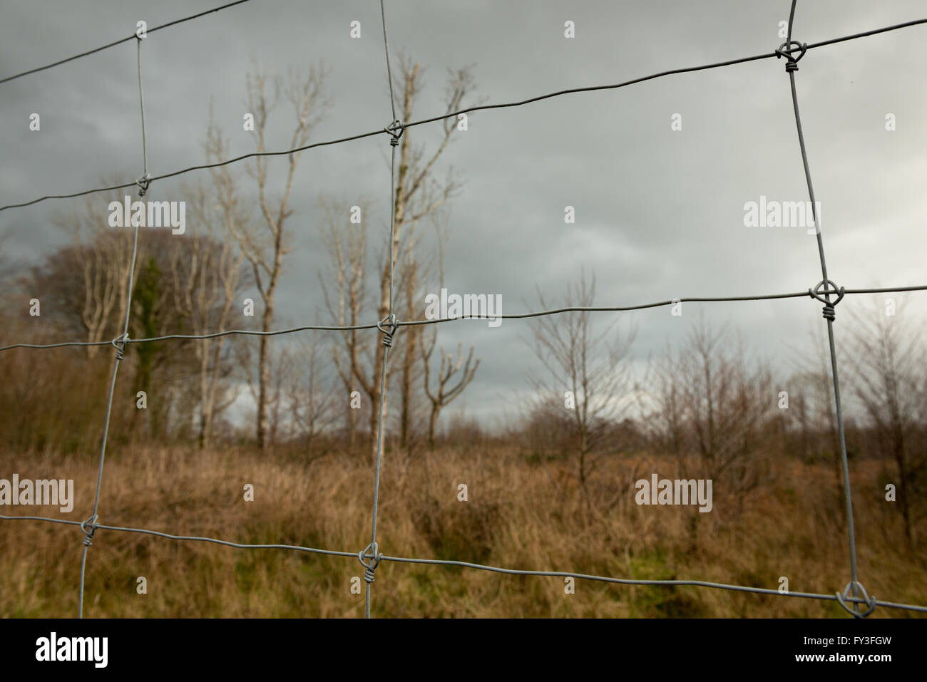 Trees behind fence hi-res stock photography and images - Alamy