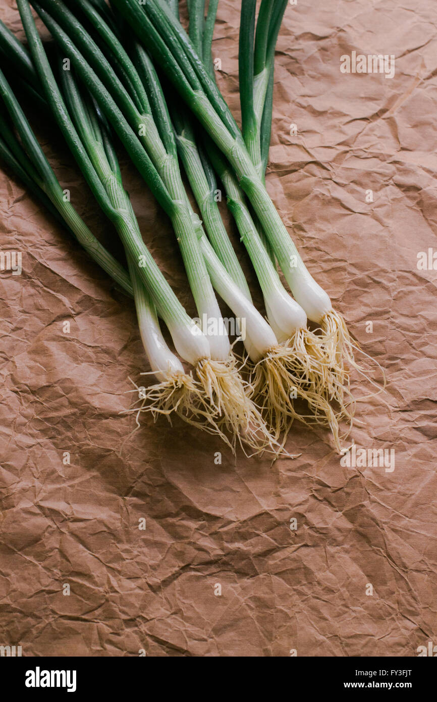 Green Onions on a paper background Stock Photo - Alamy