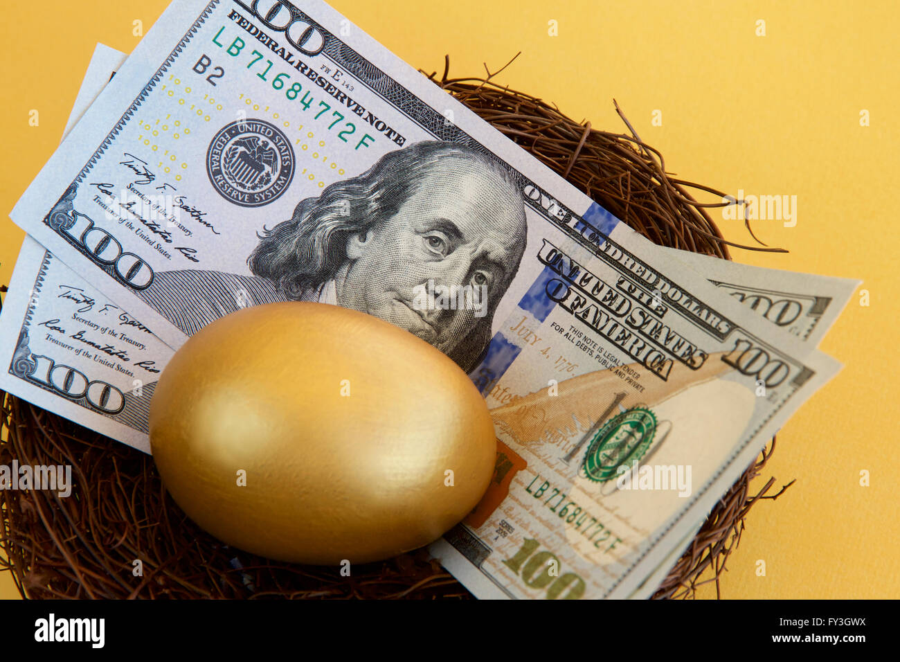 American dollars and a golden egg in a nest Stock Photo - Alamy
