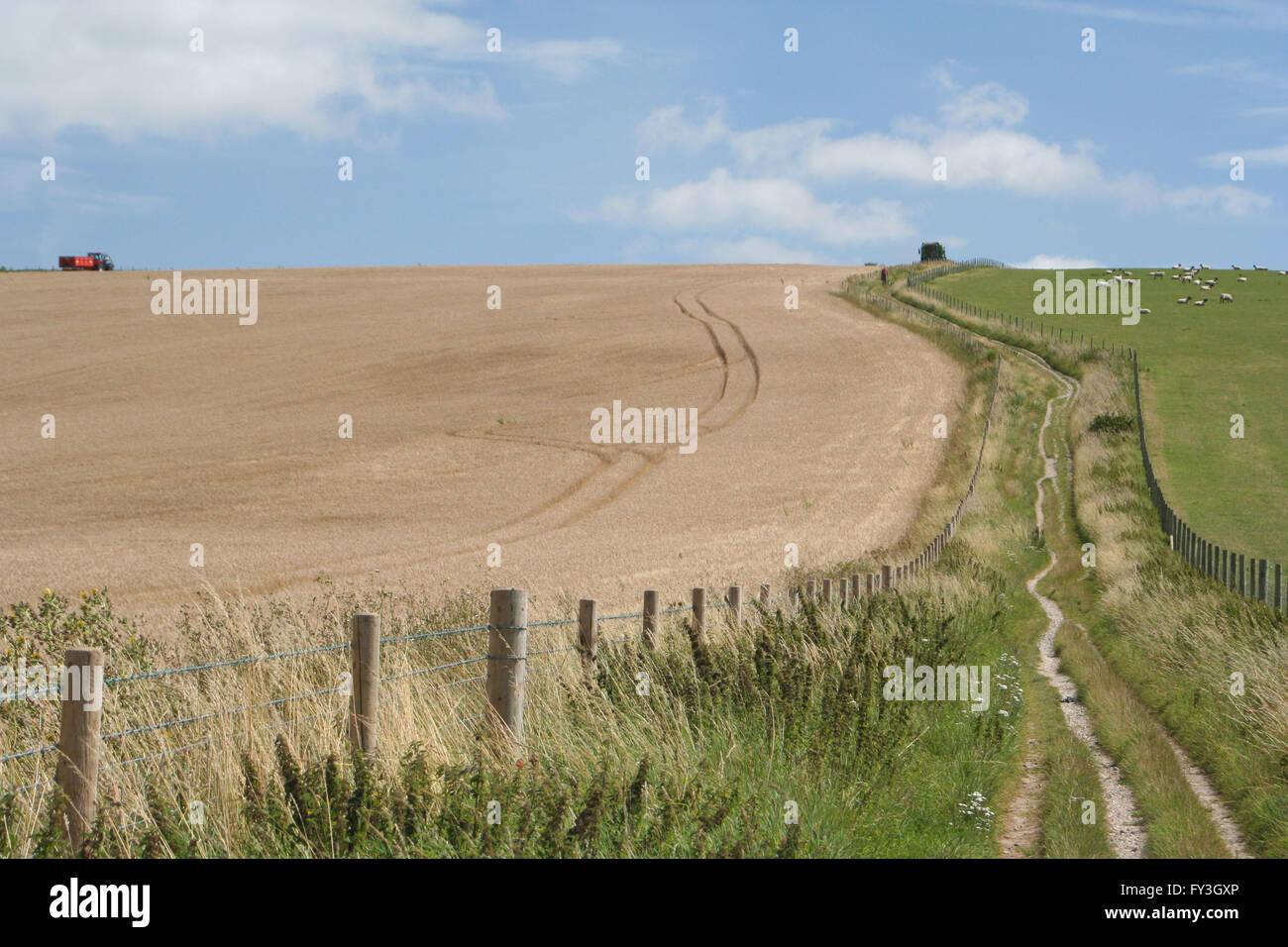 South Downs Way and the climb East of the River Adur Stock Photo - Alamy