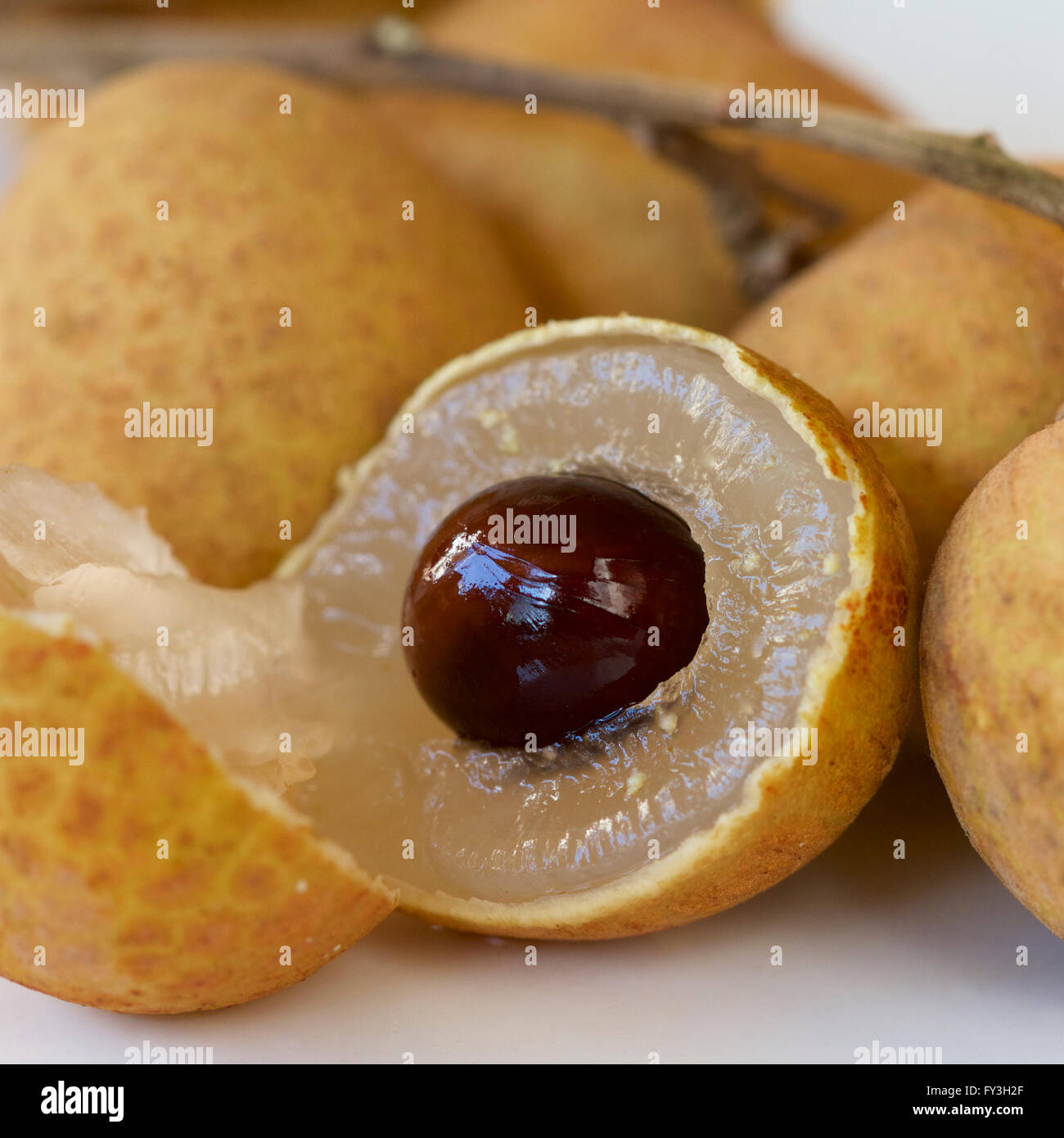 Logan fruit, Cambodia Stock Photo - Alamy
