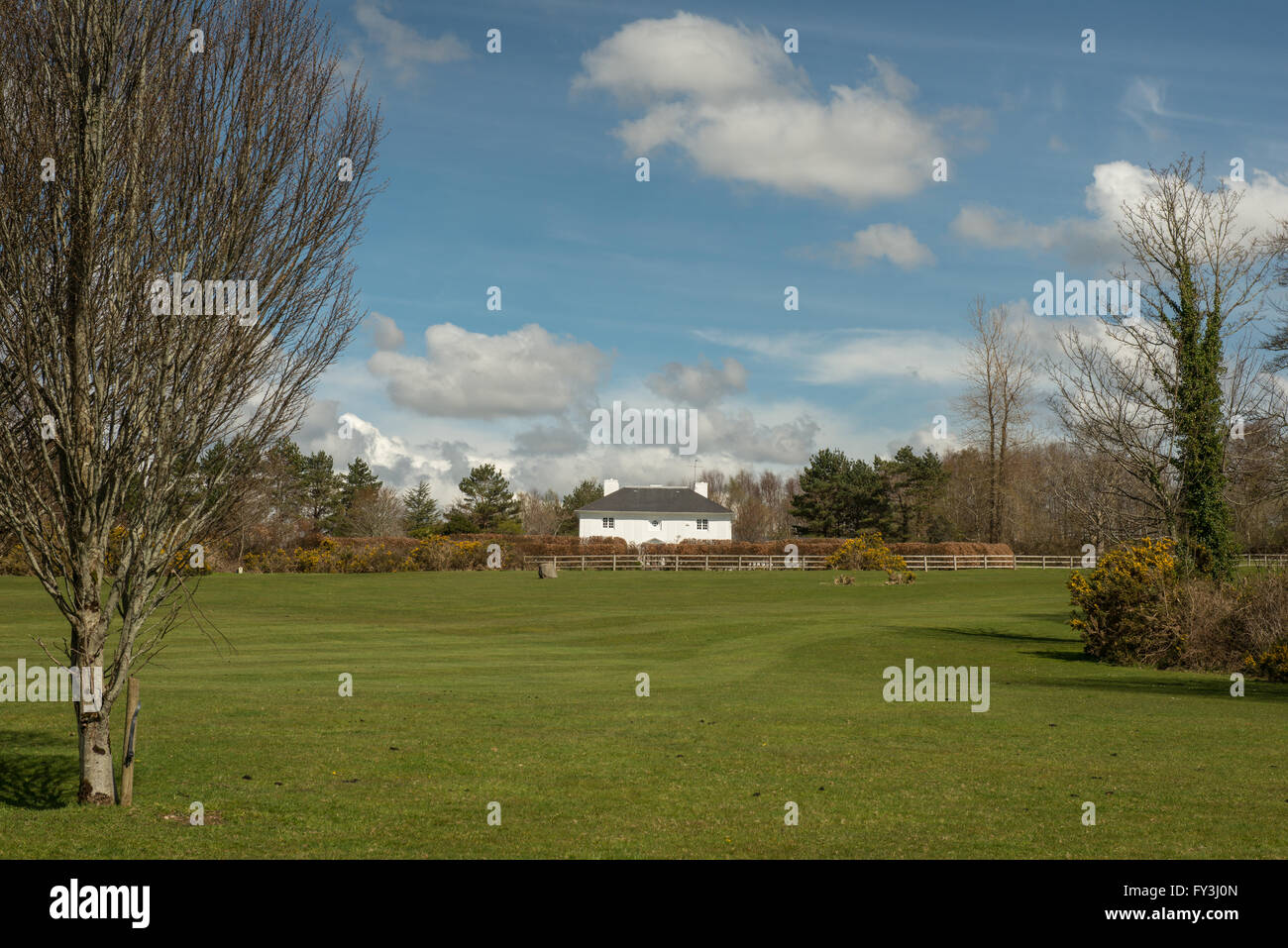 Sunny weather Ireland White Irish cottage and meadow on a bright sunny ...