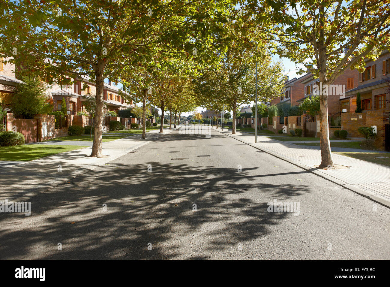 Residential area avenue in hi-res stock photography and images - Alamy