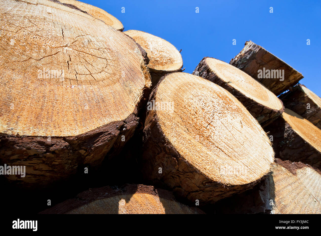 wooden logs under blue sky Stock Photo - Alamy
