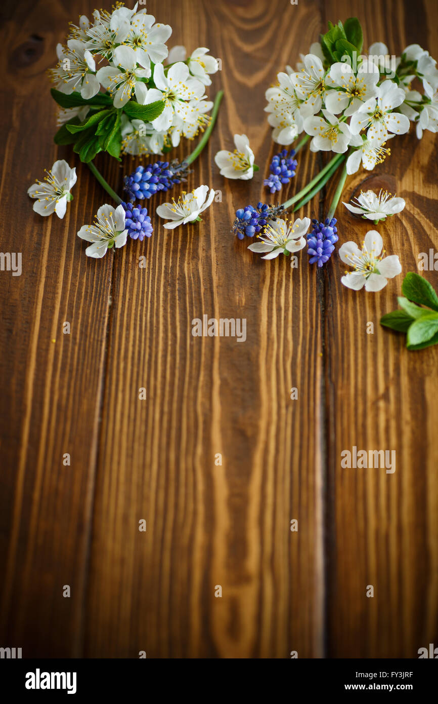 spring flowers of fruit trees Stock Photo - Alamy