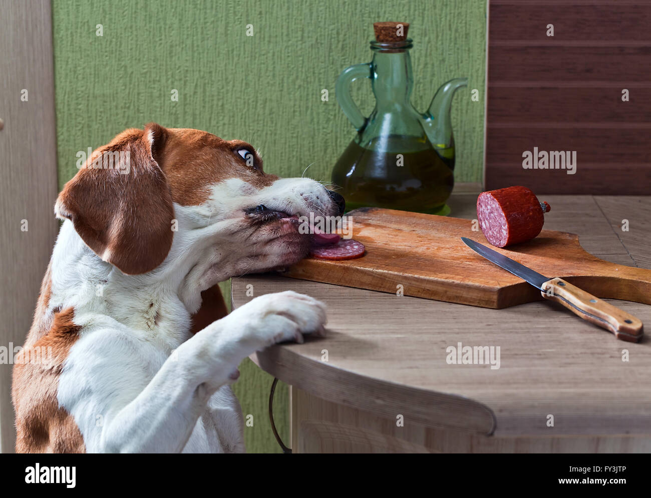 Dog Eating Food Off Table