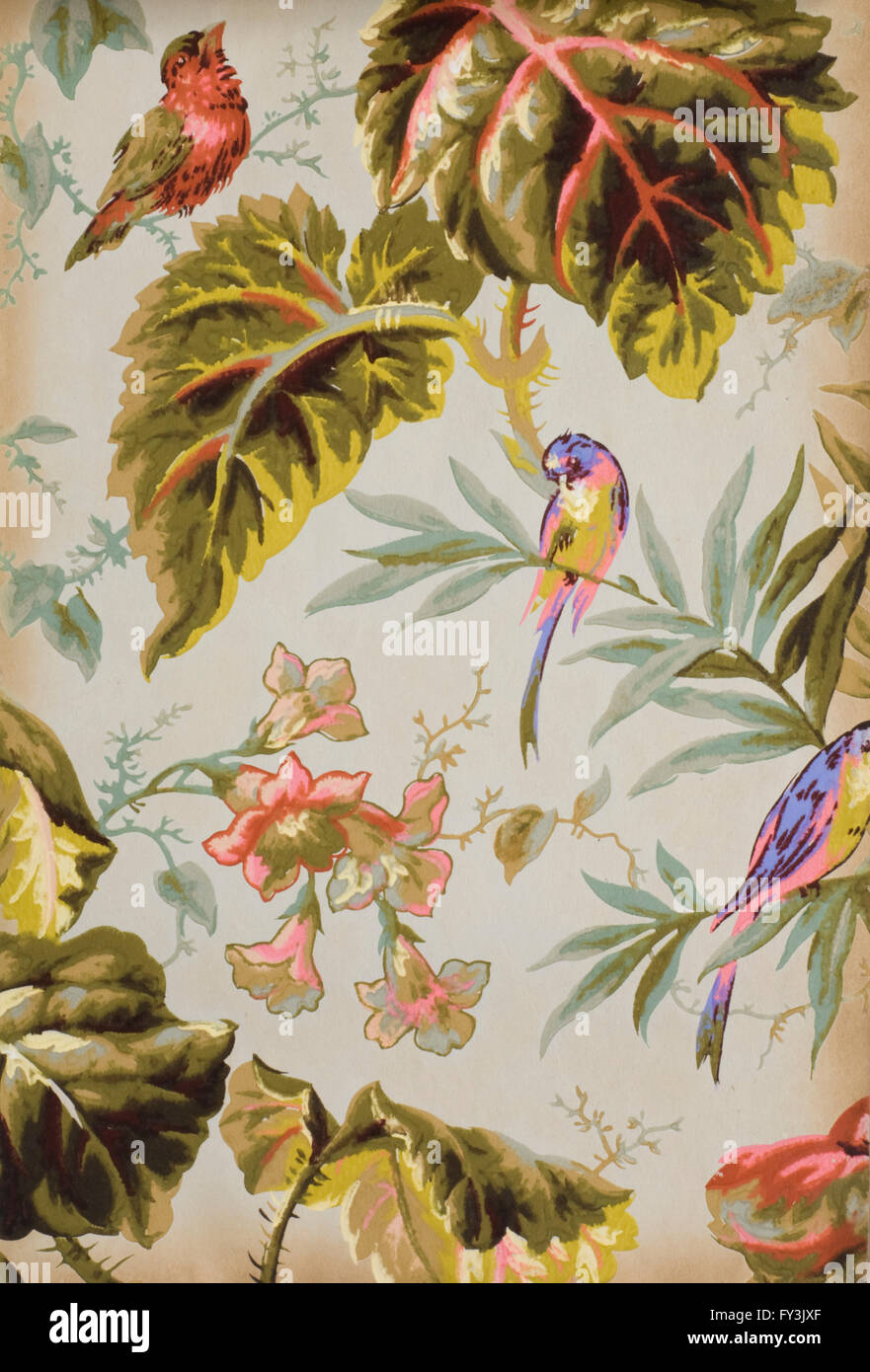 Sample book hi-res stock photography and images - Alamy