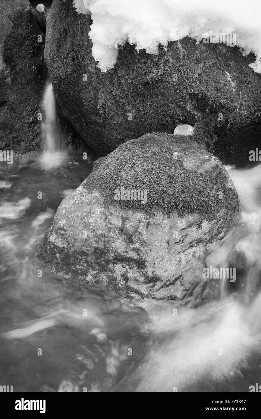 I stopped to enjoy the sounds of this trickling stream in the ...