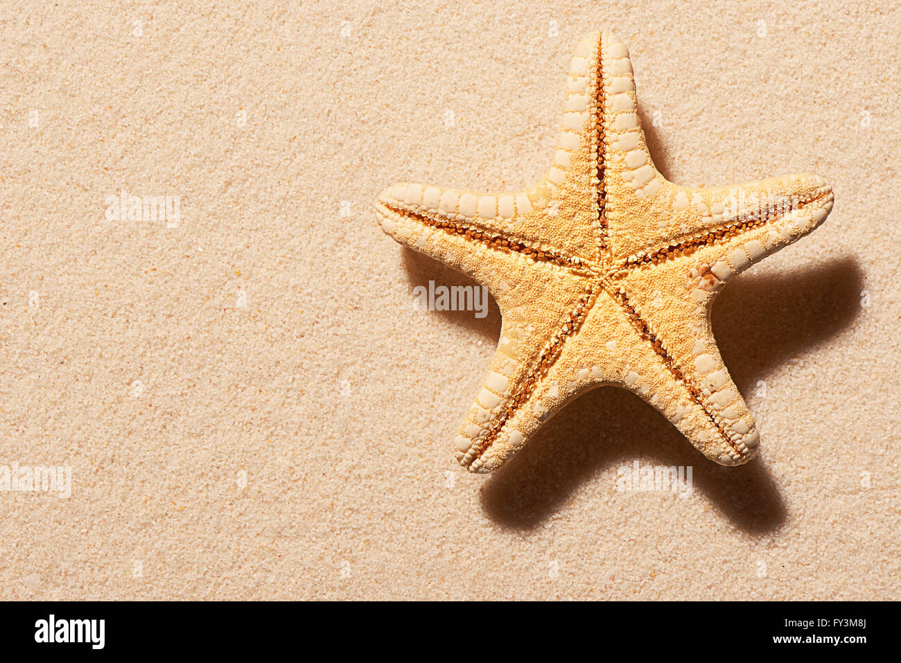 Starfish on sand. Summer beach background. View from above Stock Photo ...