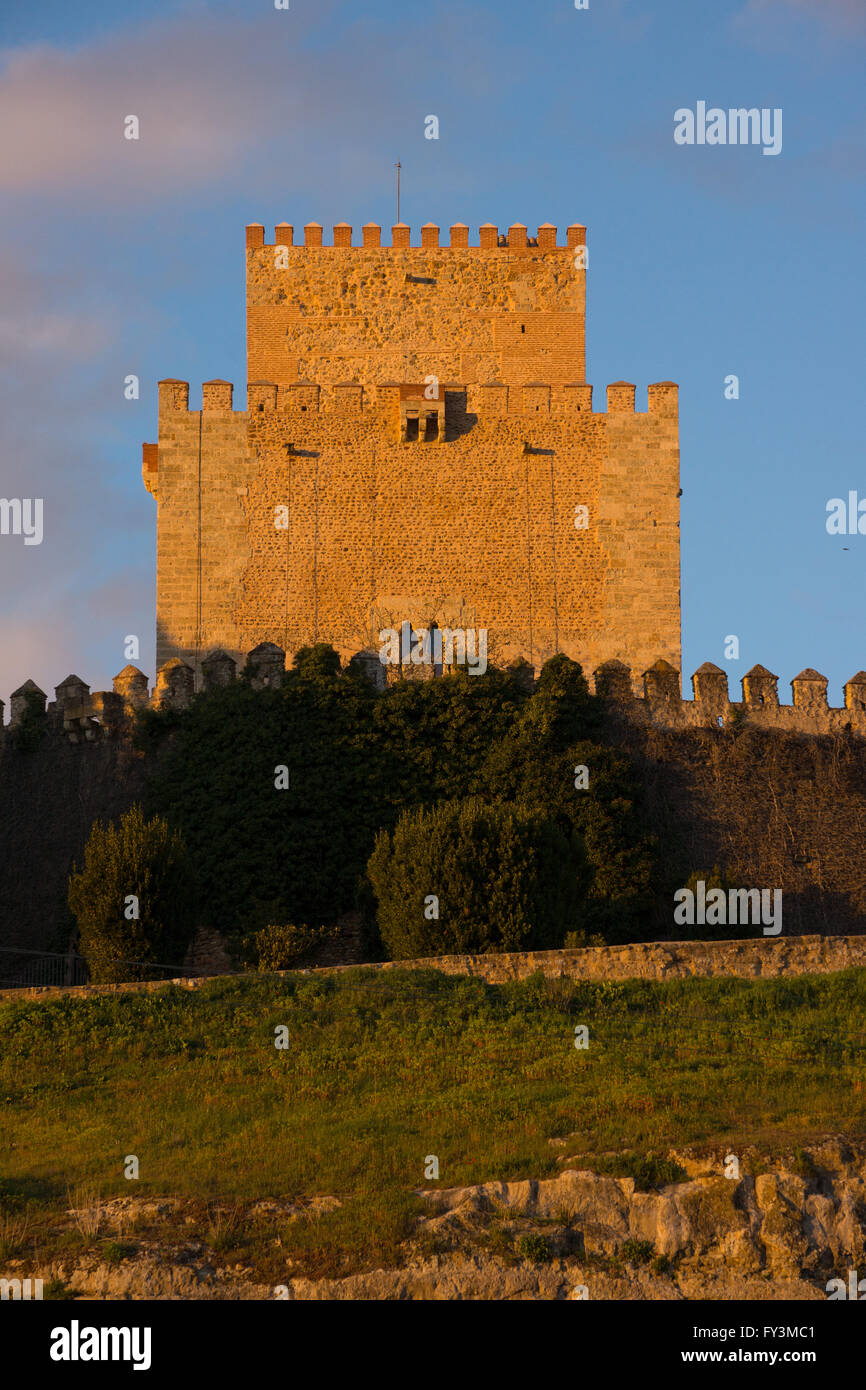 castle Henry II of castile in cuidad rodrigo Stock Photo - Alamy