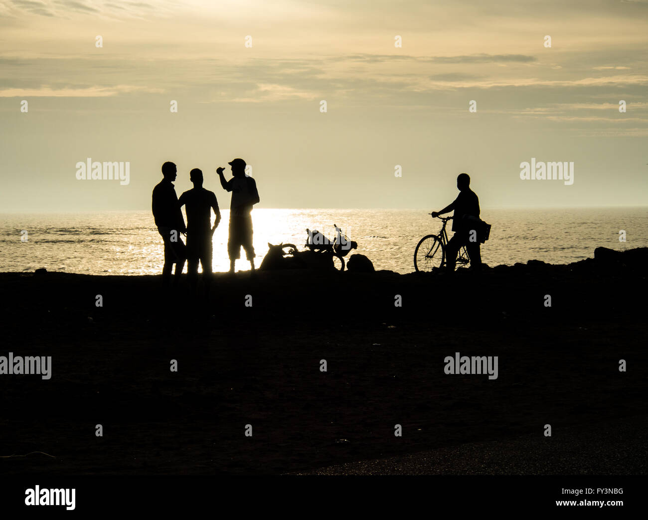 backlight of a group of male friends Stock Photo - Alamy