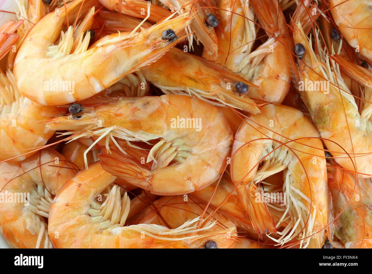 Close up tasty seafood hi-res stock photography and images - Alamy