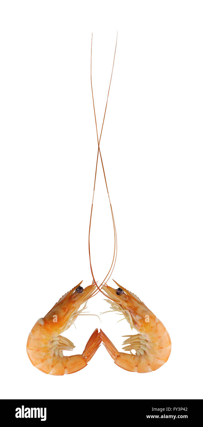 cooked shrimp in healthy concept on a white background and have ...