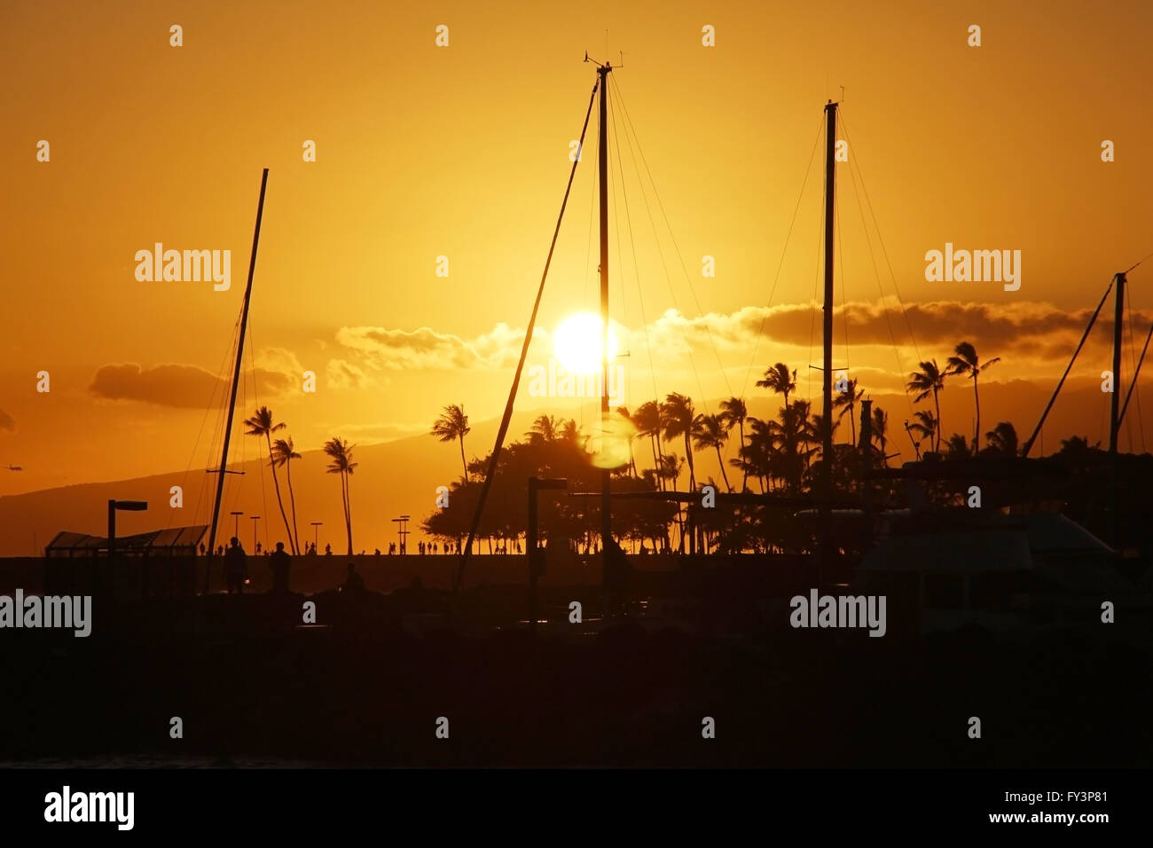 Dusk silhouettes hi-res stock photography and images - Alamy