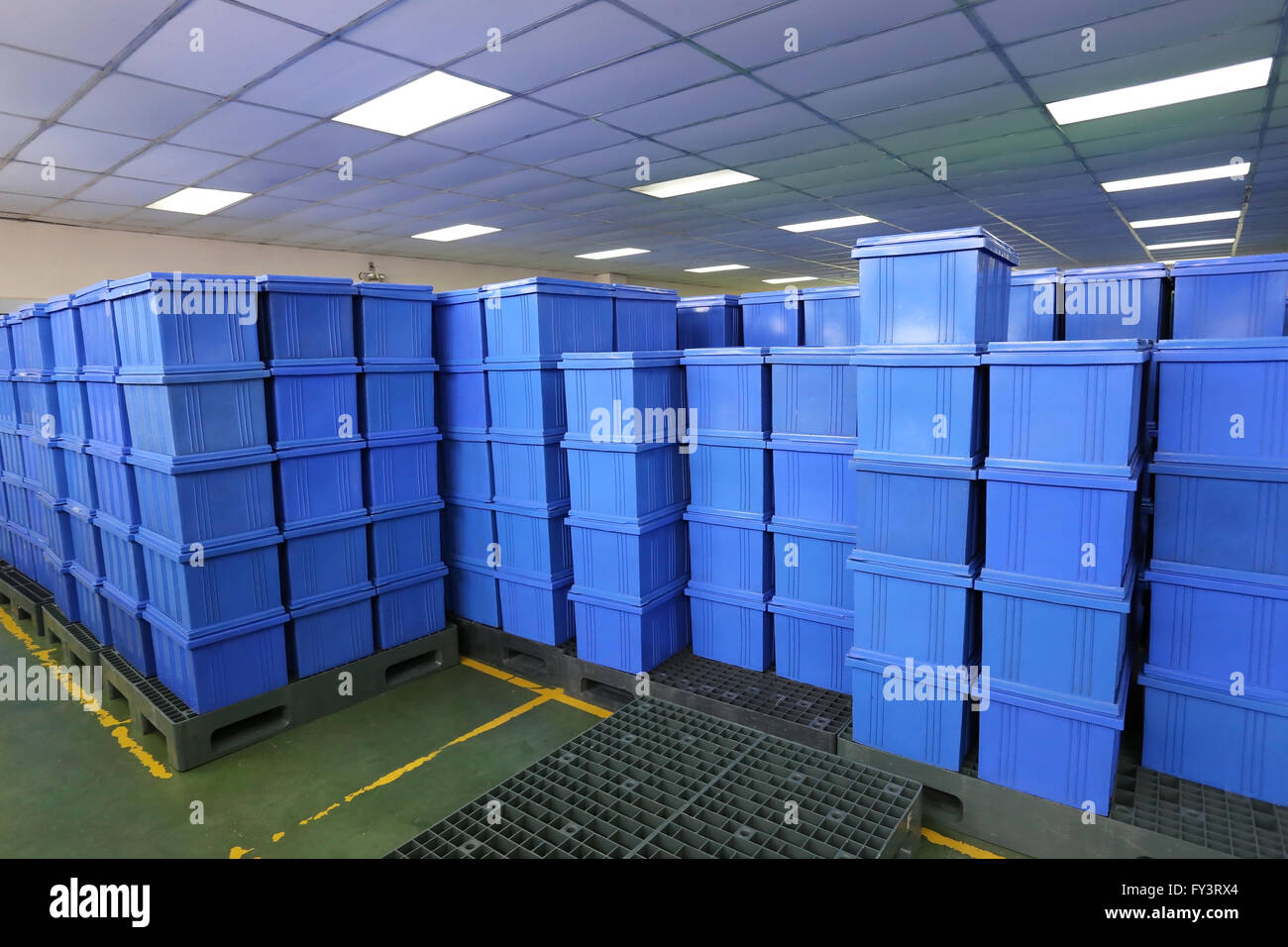 blue Plastic box products in Industrial factory room,Container of ...