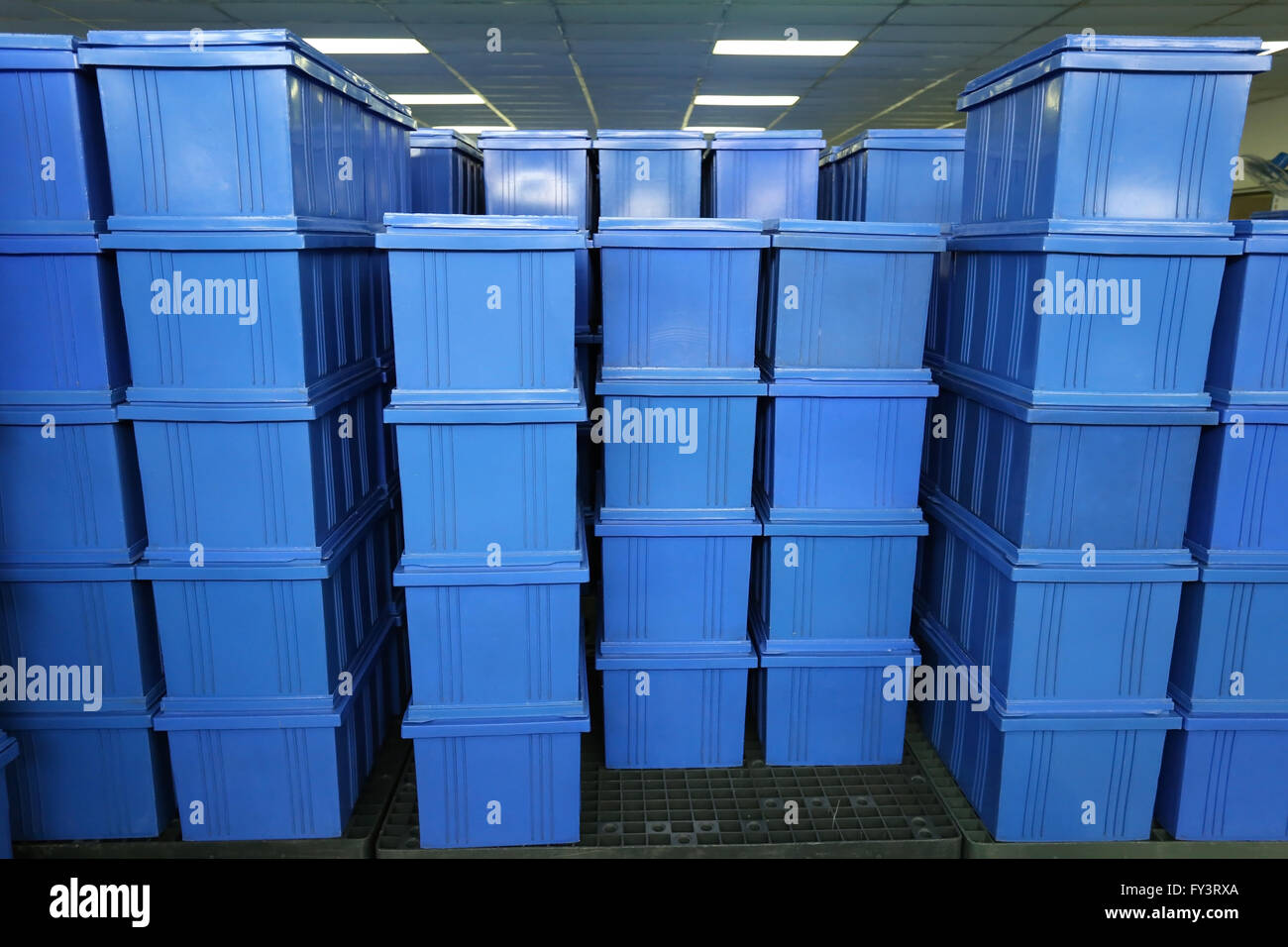 blue Plastic box products in Industrial factory room,Container of ...