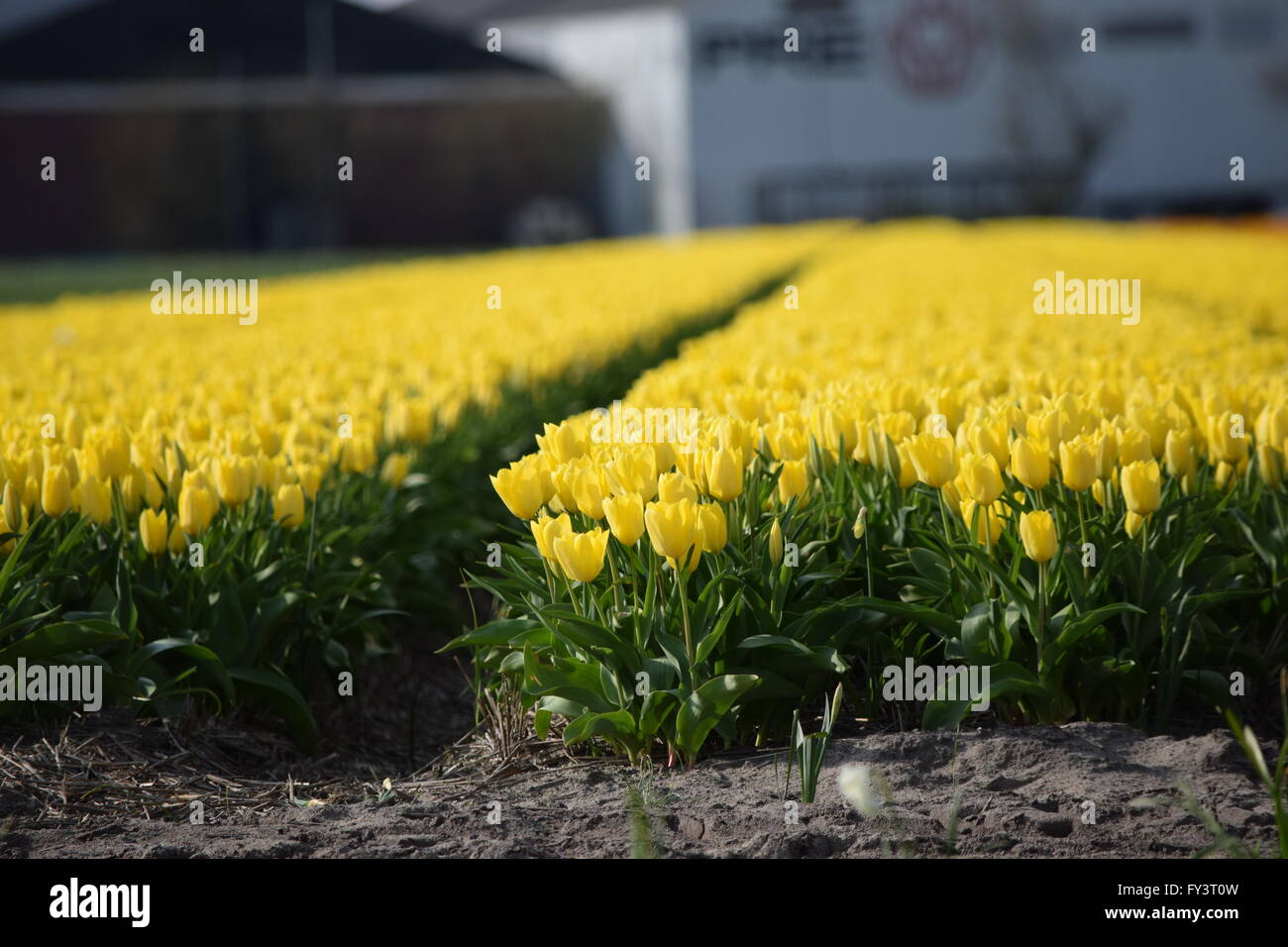 First touch garden hi-res stock photography and images - Alamy