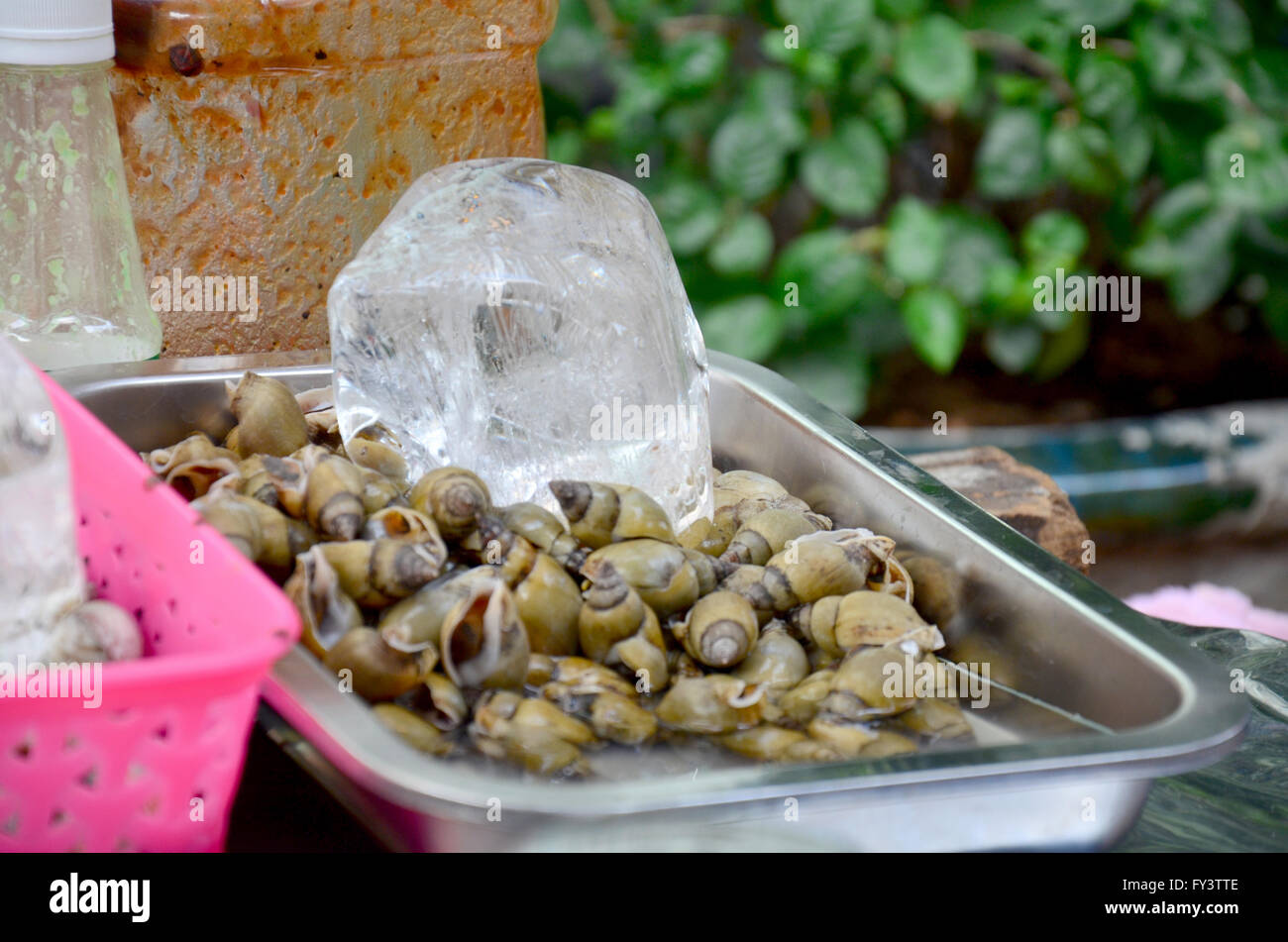 Fresh shell for cooking food vietnam style for sale people on street at ...