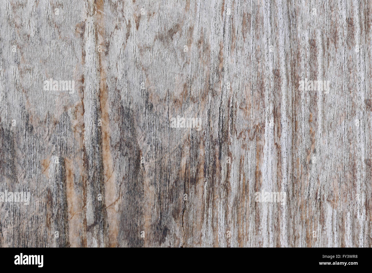 Old wood texture for the design background Stock Photo - Alamy