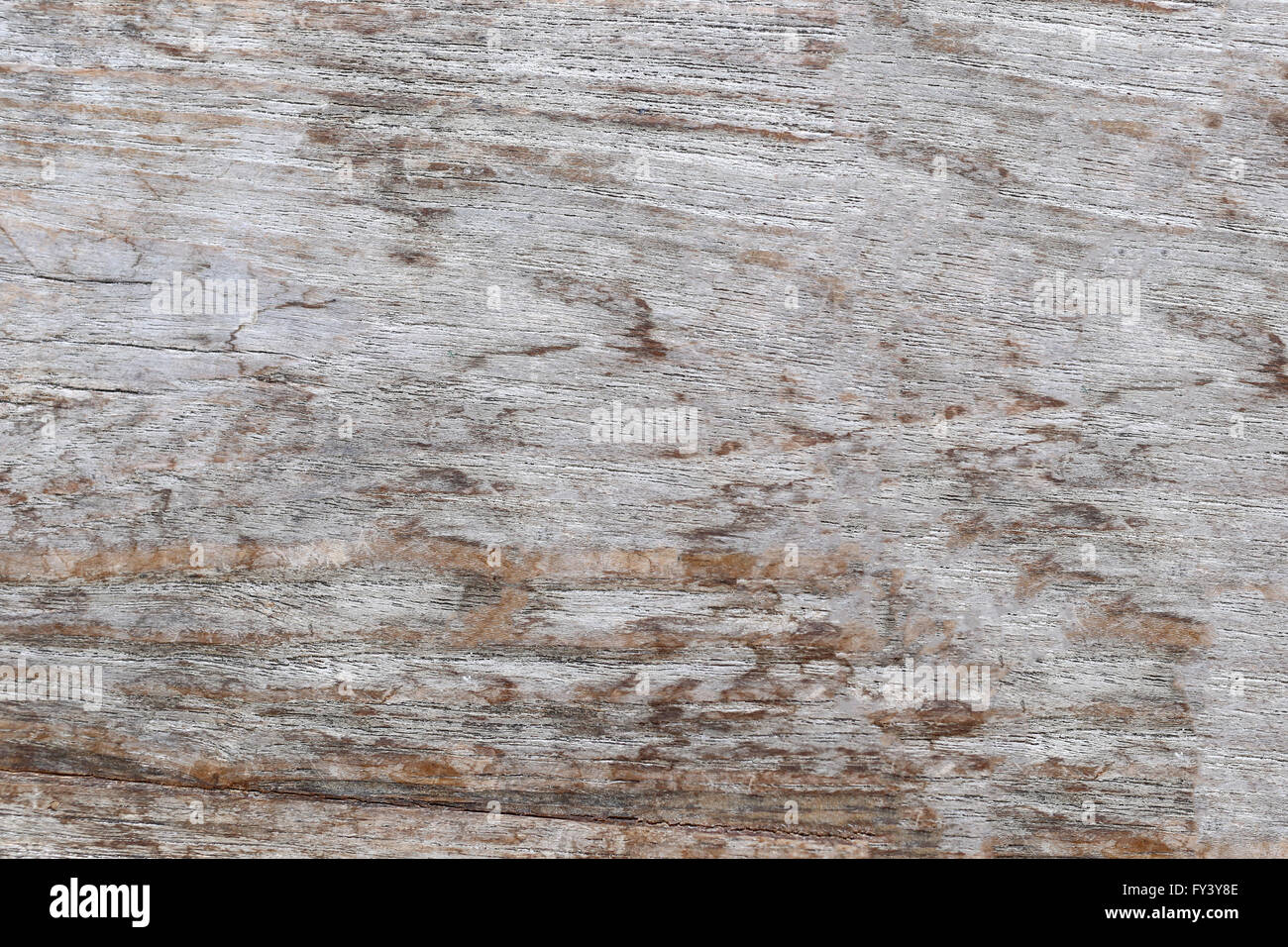 Old wood texture for the design background Stock Photo - Alamy